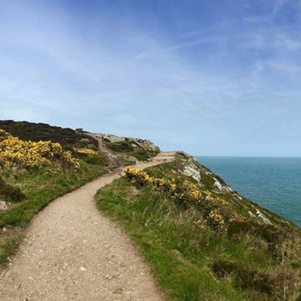 Hiking Club Ireland. Hike #81: Howth Cliff Walk
